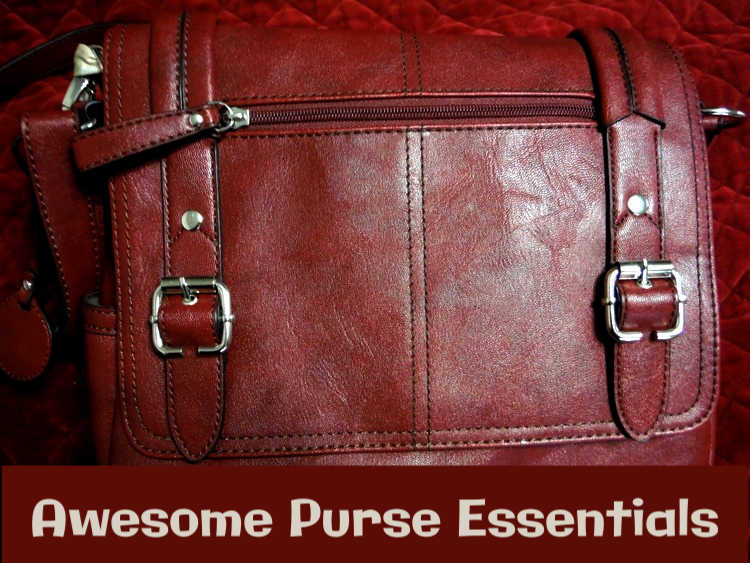 Awesome Purse Essentials & How to Organize Them - Day By Day in Our World